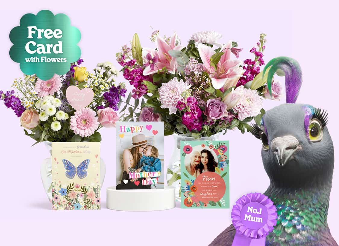 Funky Pigeon IE | Send Greeting Cards & Gifts Online