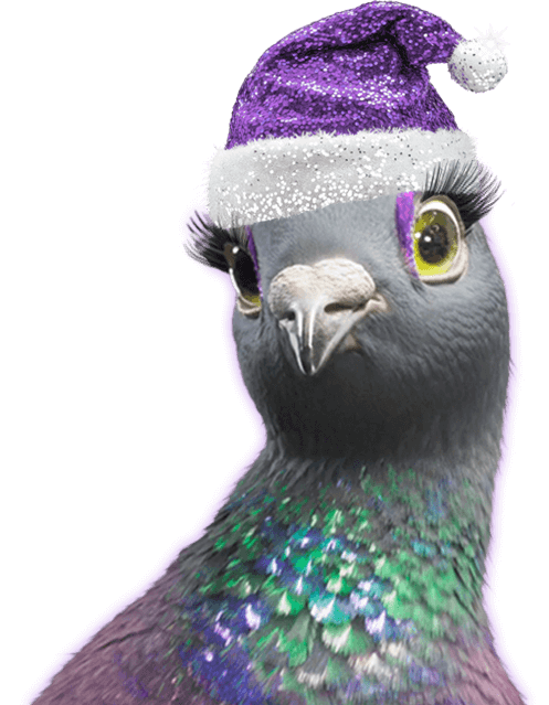 Funky Pigeon IE | Send Greeting Cards & Gifts Online