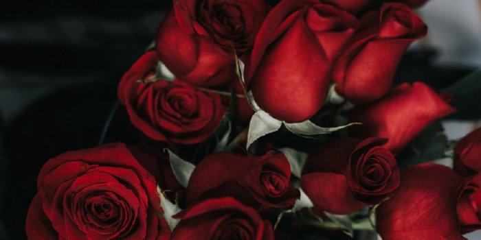 A Complete Guide to Flower Meanings - Funky Pigeon Blog