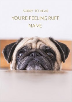 What to Write in a Get Well Card | Funky Pigeon Blog