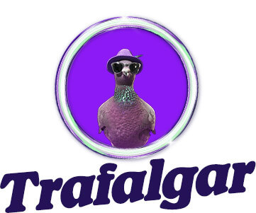 Introducing Funky and The Funkettes - Funky Pigeon Blog