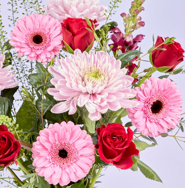 Big Blooms Love Bouquet | Funky Pigeon