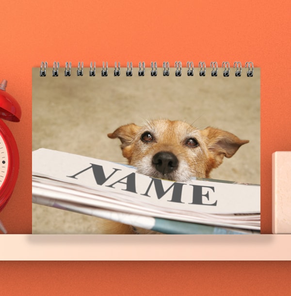 Dog & Paper Notebook | Funky Pigeon