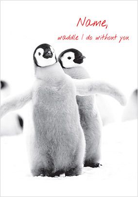 Penguin Personalised Valentine Card | Funky Pigeon