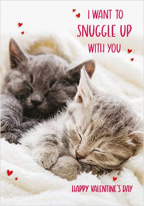 Snuggle Up Cute Valentine's Day Card | Funky Pigeon