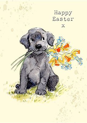 Traditional Easter Cards | Funky Pigeon