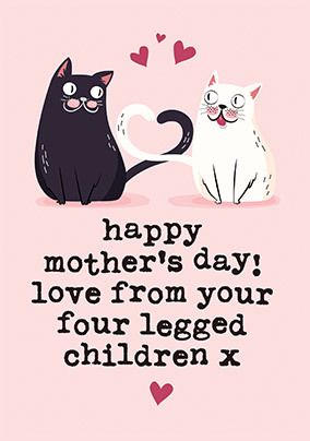 Animals Mother's Day Card | Funky Pigeon