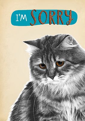I'm Sorry Cat Card | Funky Pigeon